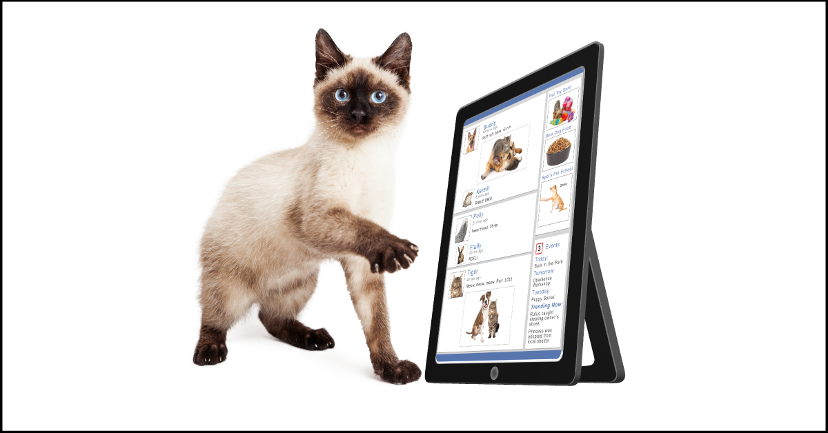 5 Ways to Master Veterinary Social Media Marketing
